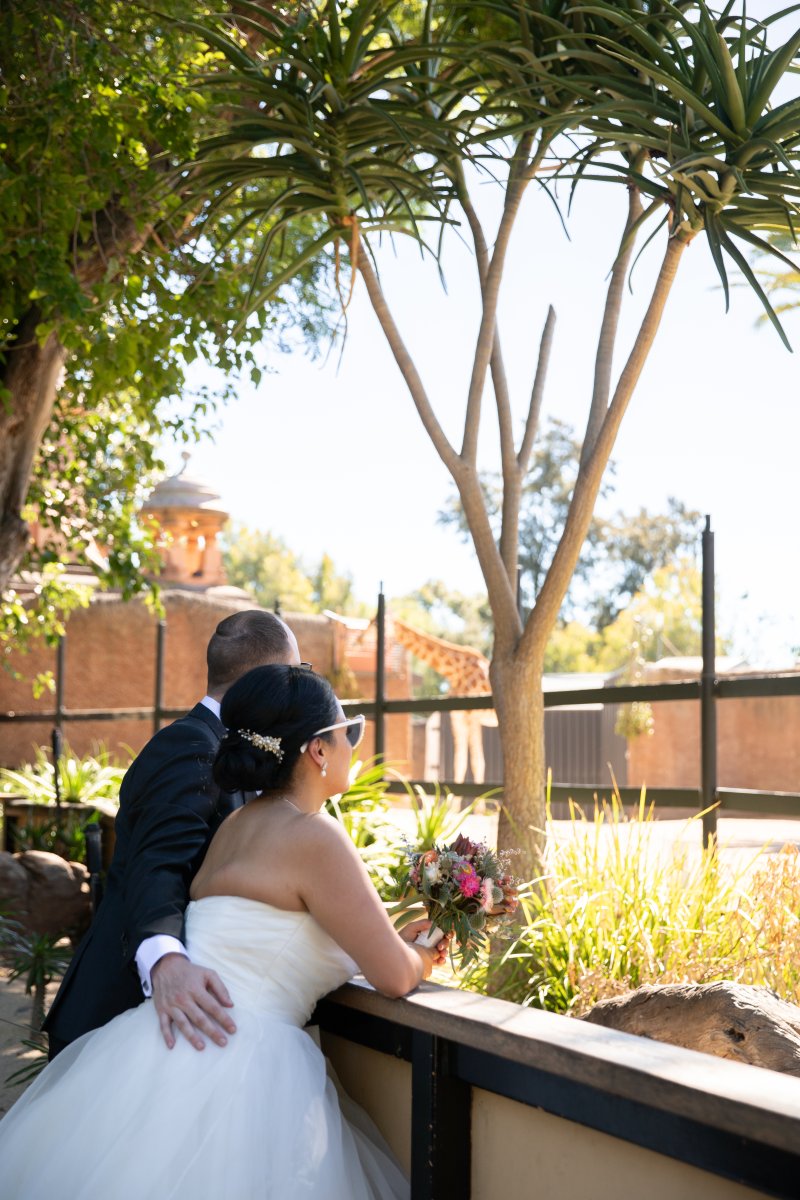 The Sanctuary Adelaide Zoo Wedding - Blanco Weddings